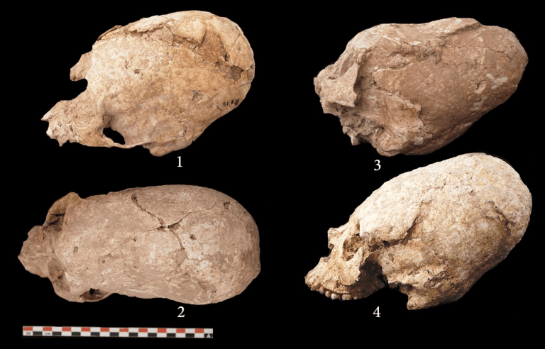 Grave of Ancient Elongated Skulls Discovered in Iran