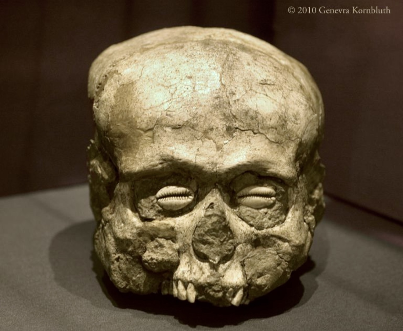 9,000 Year Old “Jericho” Skull
